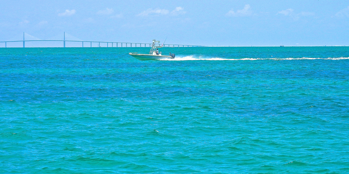 Good Times & Tan Lines Collection – SeaMonkey Apparel